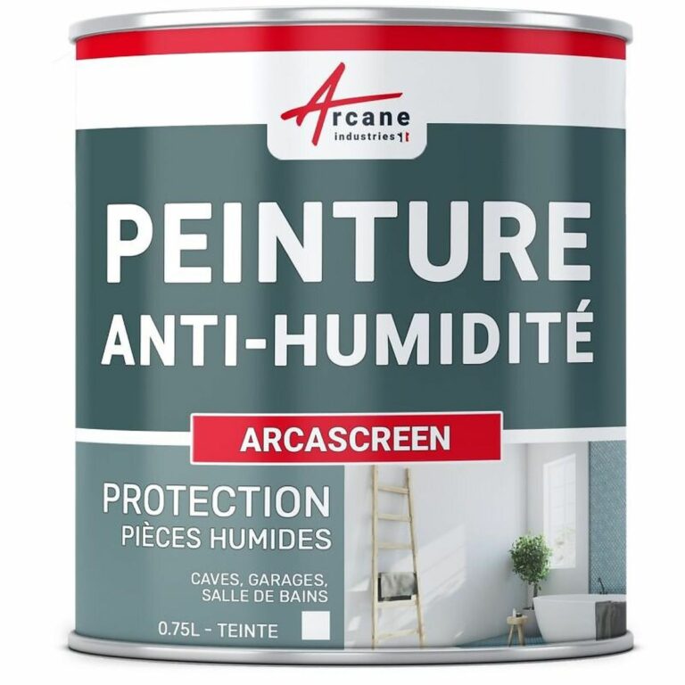 Peinture anti humidité : Protégez vos murs des moisissures avec ces ...